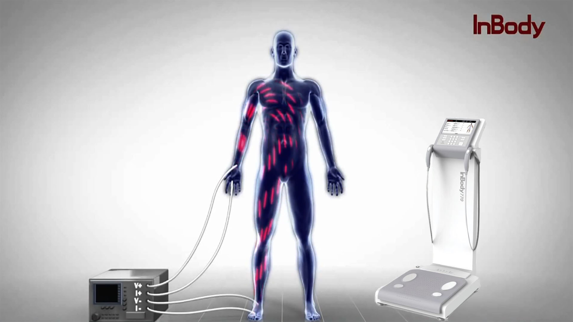 Bioelectrical Impedance Analysis And How Its Applied El Paso Tx Bioelectrical Impedance Analysis And How Its Applied El Paso Tx