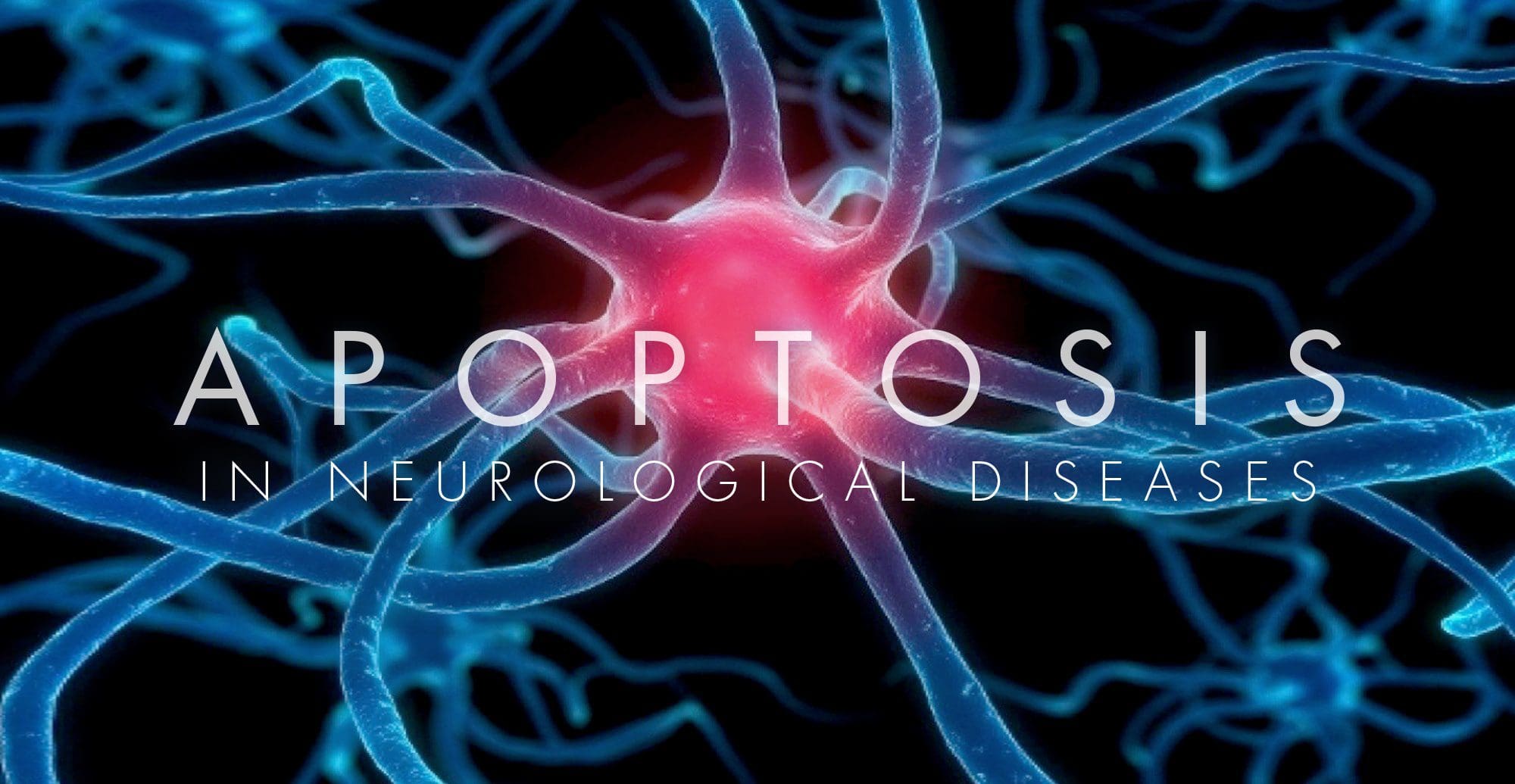 Apoptosis in Neurological Diseases - Chiropractic Scientists | 915-850-0900