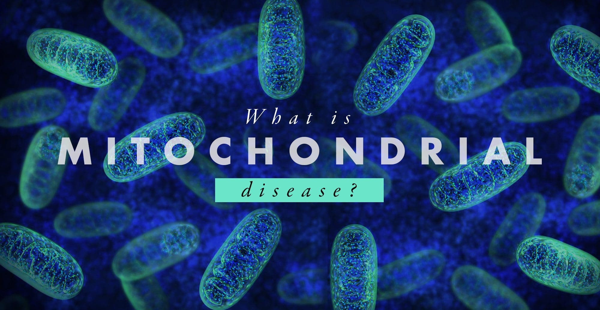 What is Mitochondrial Disease? - Chiropractic Scientists | 915-850-0900