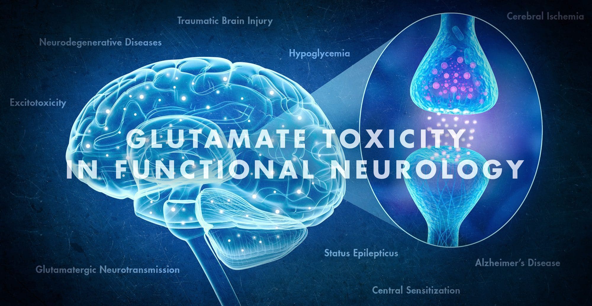 Glutamate Toxicity in Functional Neurology - Chiropractic Scientists ...