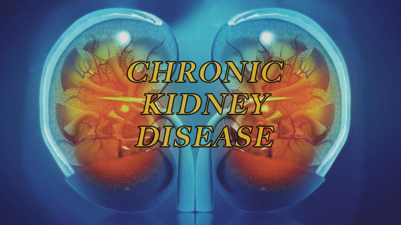 The Role of Dietary Fibers and CKD - Chiropractic Scientists | 915-850-0900