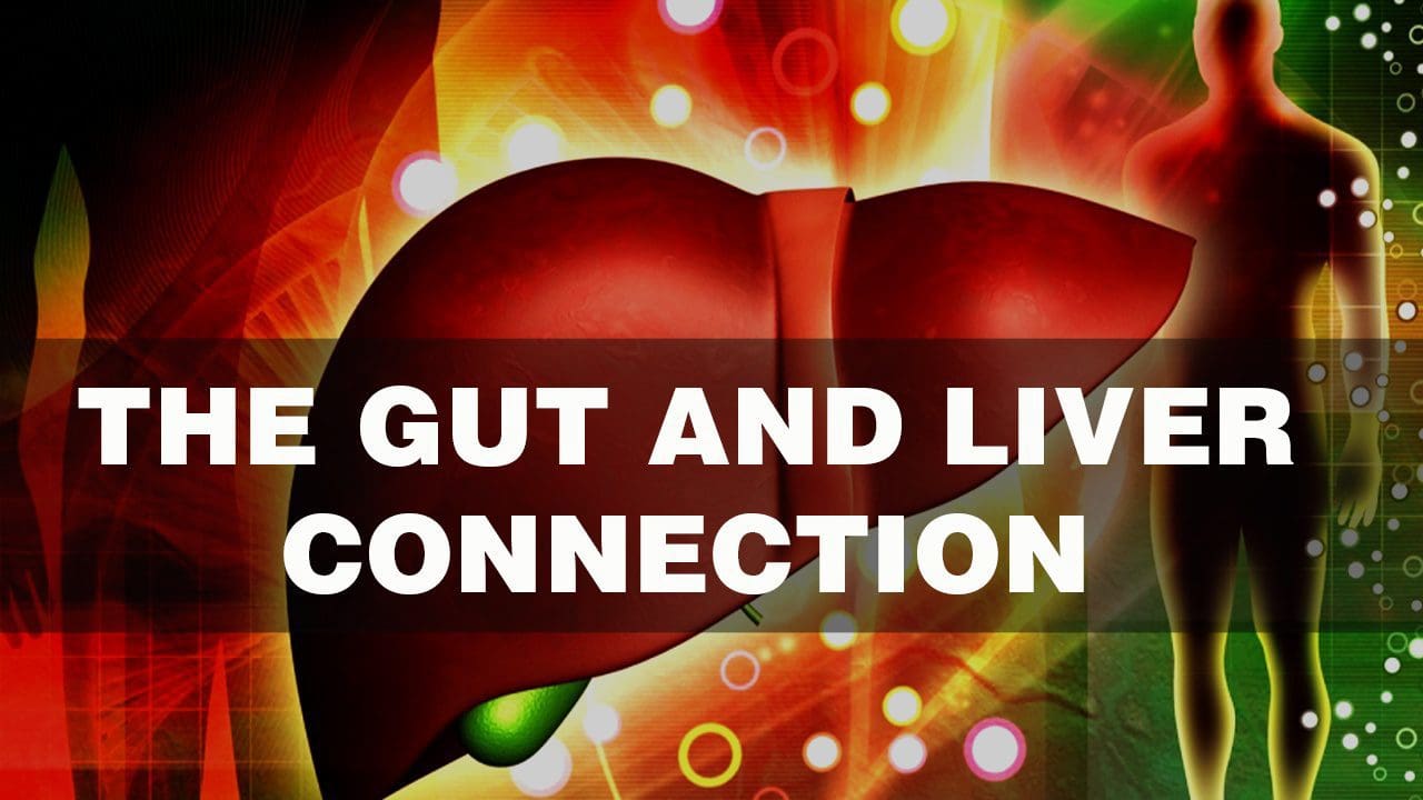 The Gut-Liver Connection - Chiropractic Scientists | 915-850-0900