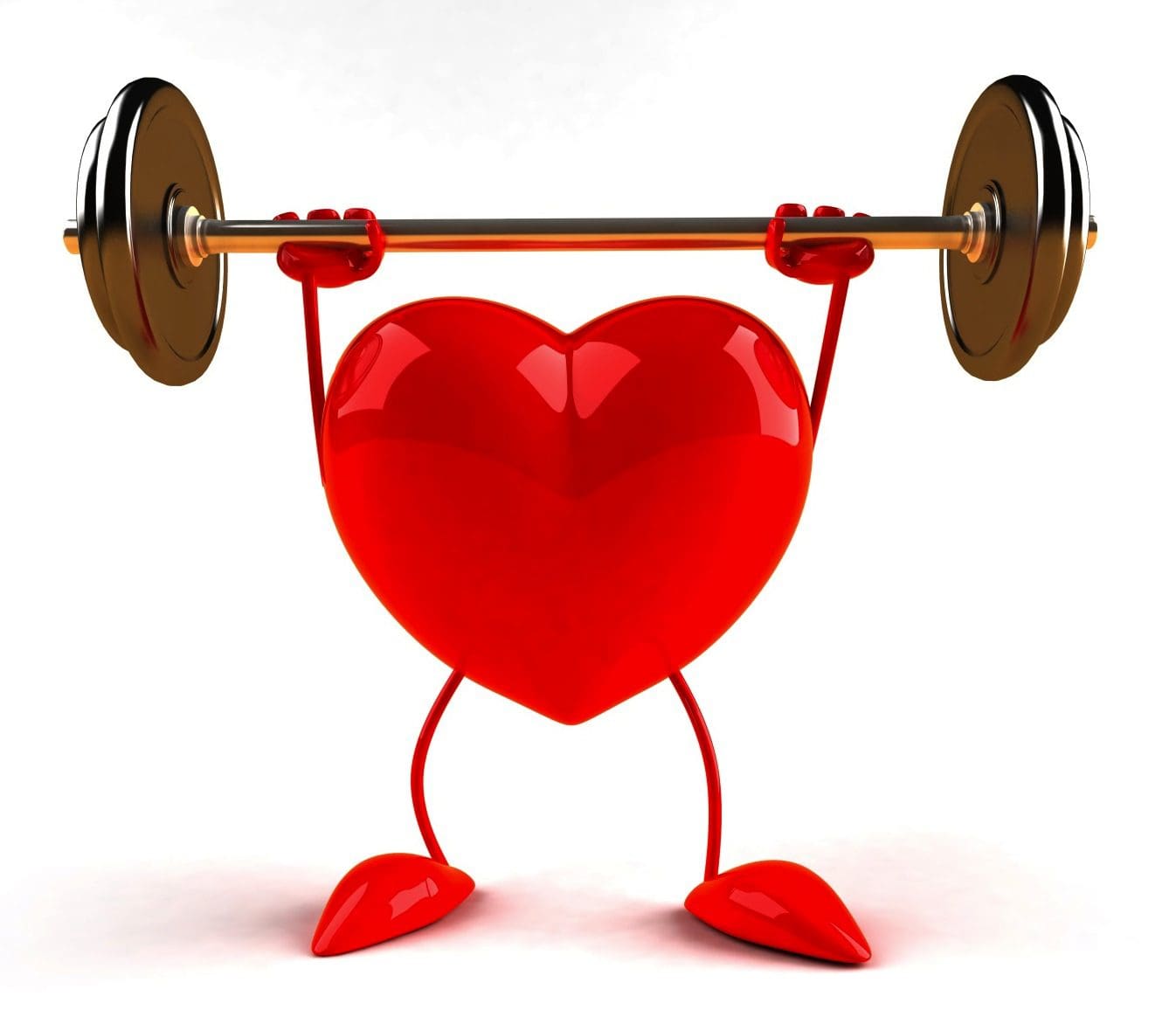 Health & Wellness: The Importance of Heart Health & Lipid Metabolism ...