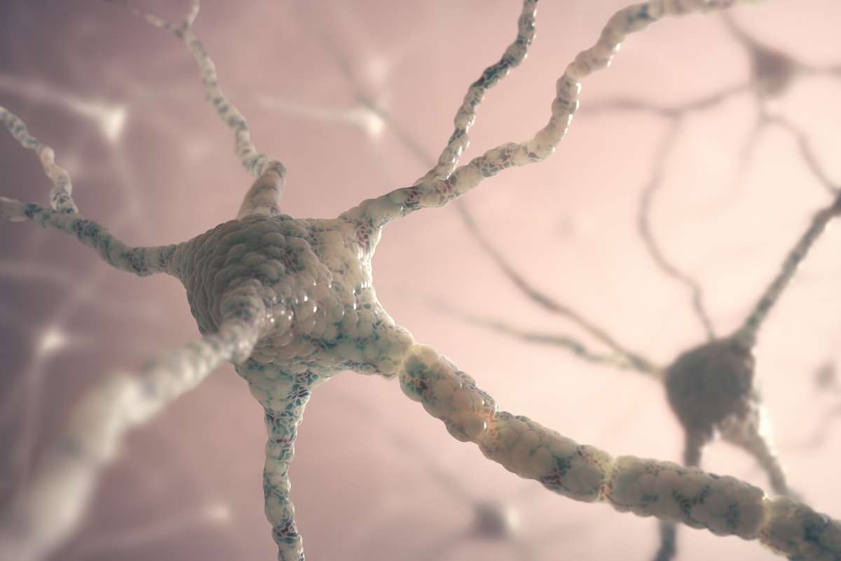 The Science of Neuroinflammation - Chiropractic Scientists | 915-850-0900