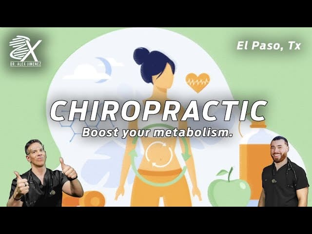 Chiropractic: Boost Your Basal Metabolism | El Paso, Tx (2023) - Chiropractic Scientists | 915 ...