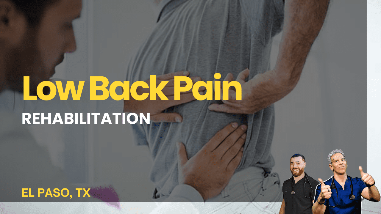 Solving Low Back Pain: The Causes and Effects - Chiropractic Scientists ...