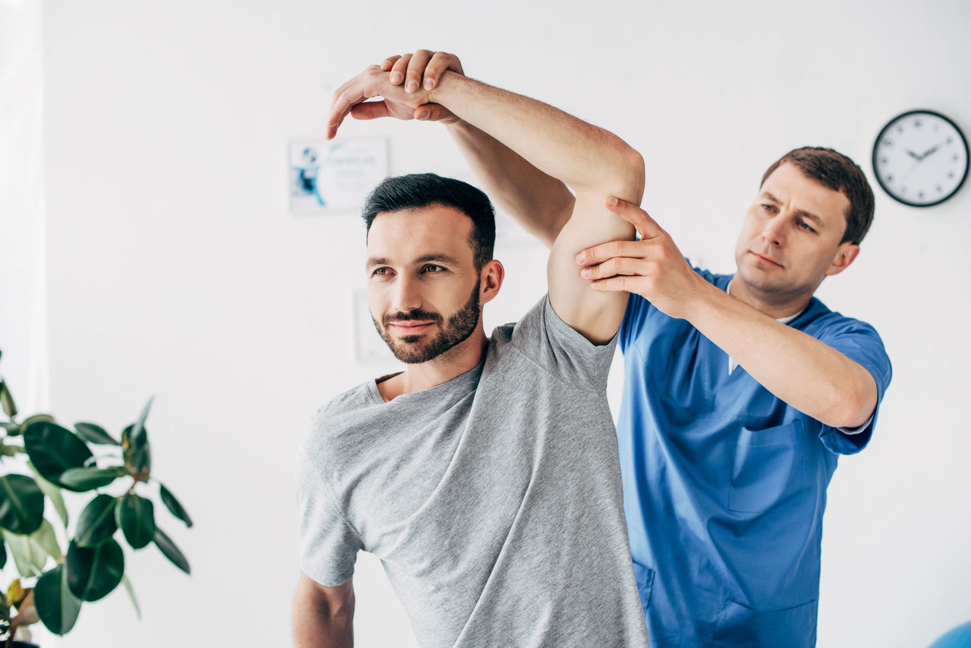 Understanding the Long Thoracic Nerve: Function and Importance ...